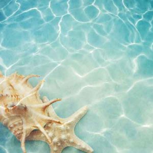 Significado del Color Azul: Tonos, Simbología y datos curiosos